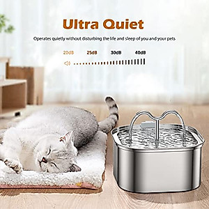 DOOOB Cat Water Fountain,3.2L/108OZ Square Stainless Steel Pet Water Dispenser Metal Dog Drinking Fountains Water Bowl with 3 Replacement Filters Ultra-Quiet Pump and Waterproof Food Mats