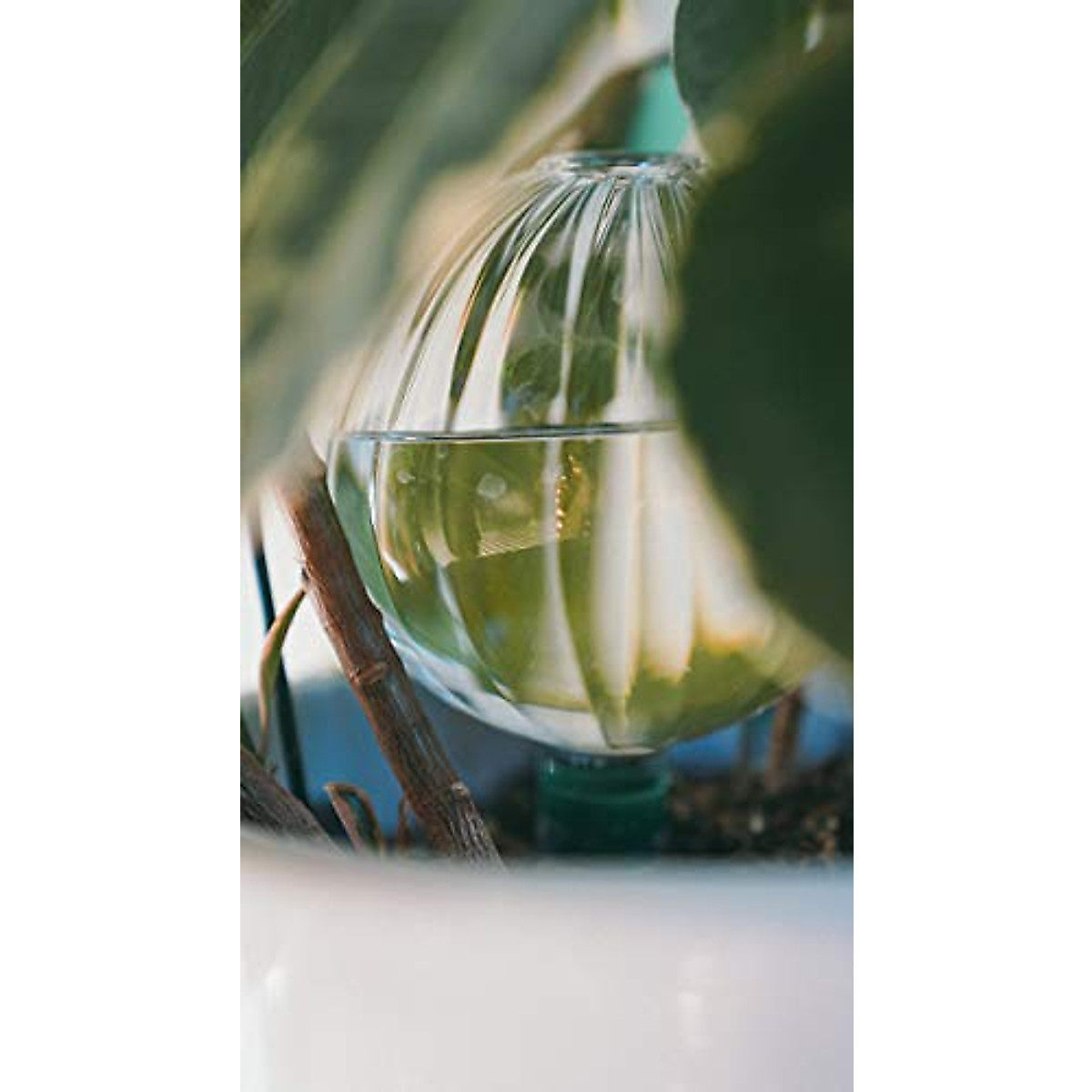 Blumat Glass Plant Self Watering Globes | Automatic Houseplant Drip Irrigation for Indoor Plants, Hanging Plants, Houseplants, Plant Garden Accessories | Vacation Plant Savers - Large Globe Small Adapter