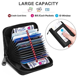 Badiya Genuine Leather Credit Card Holder RFID Blocking Accordion Small Card Case Wallet Zip Coin Purse for Women Men