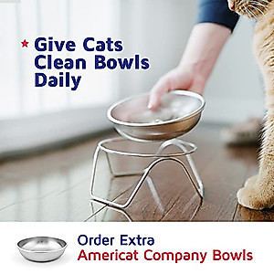 Raised Cat Bowl Stand for Food & Water by Americat – Made in USA – Stainless Steel, Spill-Proof Elevated Feeder, Dishwasher Safe, Human Grade, Whisker Friendly (Bowl + Stand)