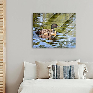 XEAJPJMGBQ Tempered Acrylic Glass Wall Art Common loon Modern Acrylic Artworks Picture Print Accent Decor for Living Room Bedroom Office Free Floating