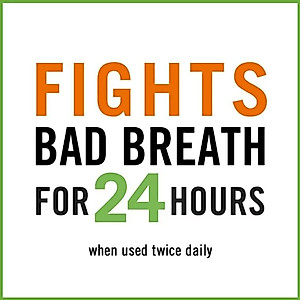 TheraBreath Dentist Recommended Fresh Breath Oral Rinse - Icy Mint Flavor, 16 Fl Oz (Pack of 2)