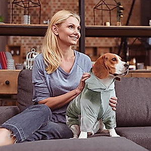 Duojoy Dog Hoodie with Pocket, Puppy Pajamas Long Sleeve Onesie Jumpers Outfit, Spring Summer Autumn Winter Clothes Sweatshirt, Pet Hooded Coat Jacket Apparel, Pet Soft Warm Sweater Small Medium Dogs