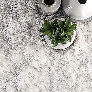 nuLOOM Kristan Hand Tufted Shag Area Rug, 4' x 6', Ivory