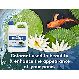 Sanco Industries KoiWorx Blue Dye - Ornamental and Decorative Pond Dye, Water Features and Fountains, Safe for Koi - 1 Quart