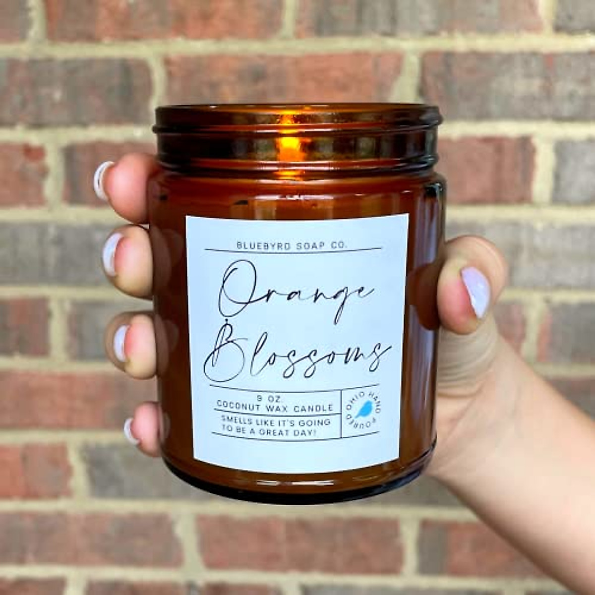 Bluebyrd Soap Co. Fraiser Fir & Pine Scented Candle Jar 9oz. | Amber Glass Holiday Candle Made with Natural Coconut Wax & Non-Toxic Fragrance (Fresh Cut Trees, 9oz)