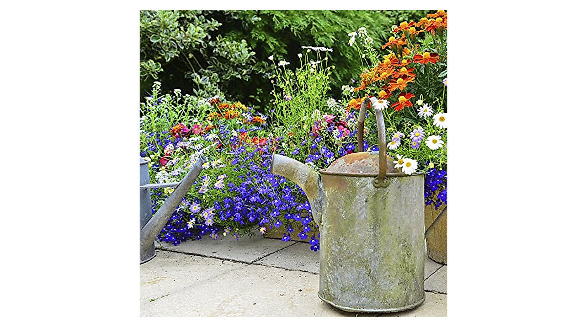 Flower Rocket Seed Disc: Easy Fragrant Flower Garden Kit