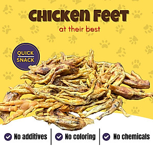 Woofley's Chicken Feet (60 Count) -Made in USA - Chicken Feet Dog Treats - Natural Dog Chews and Treats