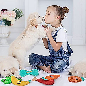 AWOOF Dog Toys No Stuffing, Crinkle Dog Toys for Aggressive Chewer Large Breed 8 Packs Flat Stuffless Puppy Doggie Toys Tough Durable Interactive Teething Dog Chew Toys for Small Medium Large Dogs