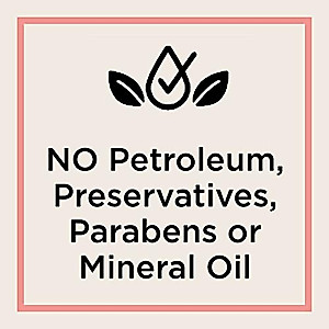 Carmex Comfort Care Lip Balm Sticks with Colloidal Oatmeal, Watermelon Blast Flavor, 6 Count (3 Packs of 2)