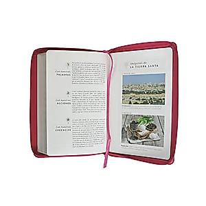 Biblia Reina Valera 1960 letra grande. Símil piel fucsia, cremallera, tamaño manual / Spanish Holy Bible RVR 1960. Handy Size, Large Print, Leathersoft, Zipp