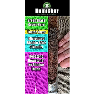 The Andersons HumiChar Organic Soil Amendment with Humic Acid and Biochar (40 lb)