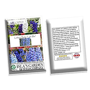 Larkspur Rocket Light Blue Flower Seeds, 250+ Seeds Per Packet, (Isla's Garden Seeds), Non GMO & Heirloom Seeds, Botanical Name: Consolida ajacis, Great Home Garden Gift