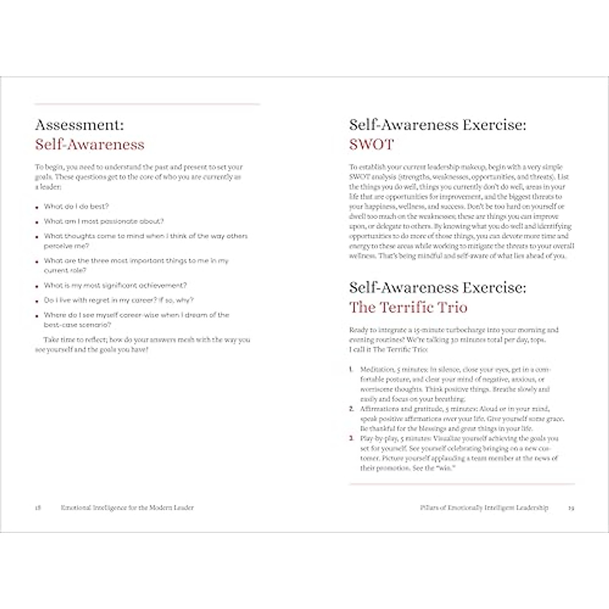 Emotional Intelligence for the Modern Leader: A Guide to Cultivating Effective Leadership and Organizations