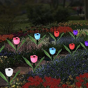 DZXCHM 6 Pcs Solar LED Light Outdoor MultiColor Solar Flower Tulip Light Bulb for Home Garden Yard Lawn Landscape Night Lamp