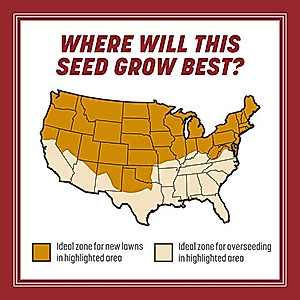 Pennington Smart Seed Perennial Ryegrass 3 lb