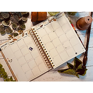 Conquest Journals Harry Potter Herbology 2024 Dated Weekly Planner, Vertical Format, Wrapped Book Board Cover, Spiral Bound, 4 Sticker Sheets, Pocket, Elastic Closure Strap, Bookmark, 8"x9.25"