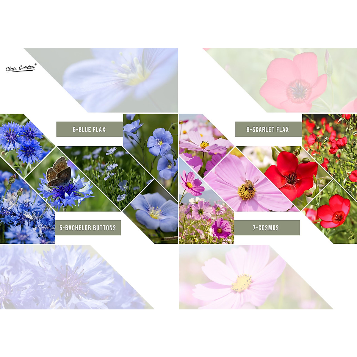 California Wildflower Mix - 10,000 Seeds - 17 Varieties - No Fillers, Open Pollinated and Non GMO, Perennial and Annual Garden Flowers, Attracts Bees and Butterflies