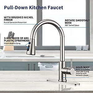 GASIA Kitchen Faucet,Faucet for Kitchen Sink,Kitchen Faucet with Sprayer,Brushed Stainless Steel Sink Faucet