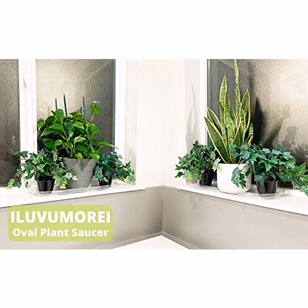 ILUVUMOREI Oval 2 Pack of 18 by 6.5 Inches Clear Plant Saucer, Thicker, Durable Flower Pot Planter for Indoors or Outdoors, Window Sills and Shelves (2 Pack - 18")