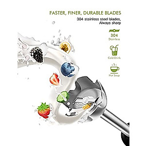Immersion Blender, 2-in-1 Multi-Purpose Hand Blender, 500W Multifunctional Hand Blender with Whisk, 6-Speed and Turbo Mode, 304 Stainless Steel Handheld Stick Blender for Smoothies, Puree Baby Food and Soups