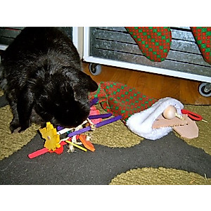 Crazy Jingle Tossing Rabbit Toy