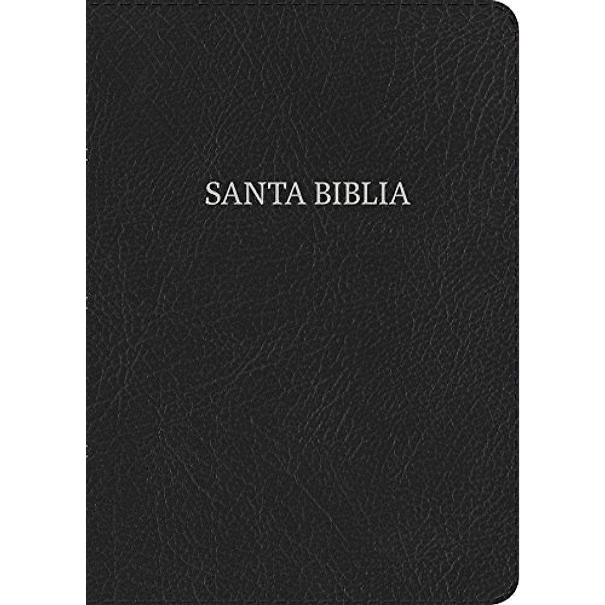 Nueva Versión Internacional Biblia Compacta Letra Grande negro, piel fabricada | NVI Large Print, Compact Bible (Spanish Edition)