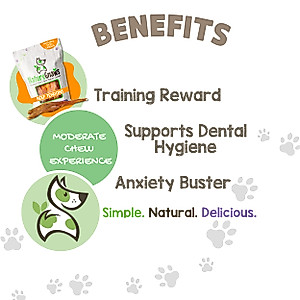 Nature Gnaws Beef Tendons for Dogs 7-11" (6 Count) - Long Lasting for Aggressive Chewers & Large Dogs - Natural Beef Jerky Dog Chew Bones - Rawhide Free