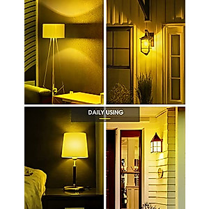 LOHAS Yellow LED Bug Light Bulbs Outdoor, A19 9W Bug Lights for Outside, 60W Equivalent, 2000K Amber Porch Light Bulb, Non-Attracting, E26 Base, Not-Dimmable, Ideal for Patio, Deck, Backyard, 2 Pack