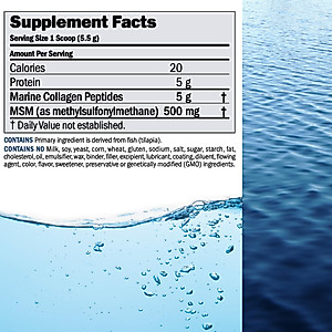 ANDREW LESSMAN Marine Collagen Peptides Powder and MSM 60 Servings - Supports Radiant Smooth Soft Skin, Comfortable Joints. Pure. Super Soluble No Fishy Flavor No Additives Non-GMO