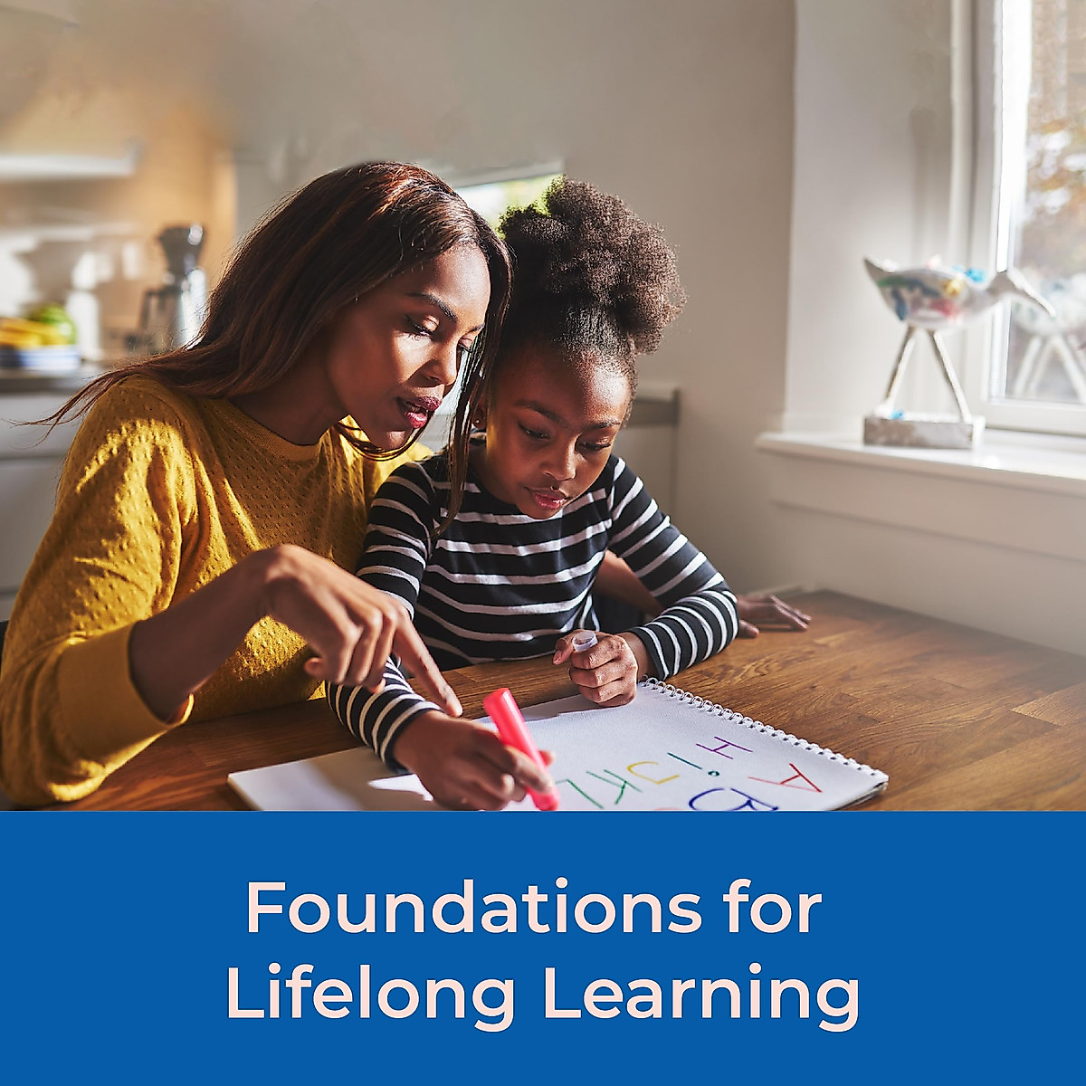 Right-Brained Multiplication & Division Book and Cards