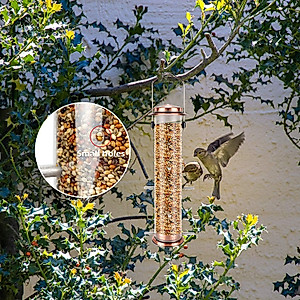 MIXXIDEA Finch Bird Feeder Hanging Metal Thistle Seed Feeder with 8 Feeding Ports Nyger Seed Feeder, Goldfinch Feeder for Outdoors Garden Copper