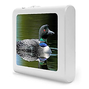 Plug in Dimmable LED Night Light with Dusk to Dawn Auto Sensor, Adjustable Brightness, Warm Light, Auto On-Off Nightlight for Bathroom, Hallway, Nursery, Bedrooms - Loon