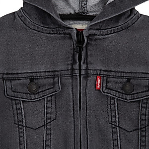 Levi's Baby Boys Hoodie, Pebble Grey, 12M