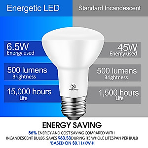 Energetic BR20 LED Bulb R20 Dimmable 5000K Daylight 45W Equivalent to 6.5W, Recessed Can Light Bulbs, Kitchen Ceiling Lights, E26 500 Lumen LED Flood Light Bulbs, Indoor UL Listed (Pack of 10)