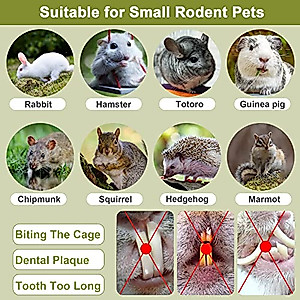 small pet 20PCS Bunny Chew Sticks, Mixed Natural Flowers Flavored Timothy Hay Sticks, Natural Snacks Teeth Grinding for Bunnies Chinchillas Hamsters Guinea Pigs and Other Small Pets Treats(Flowers)