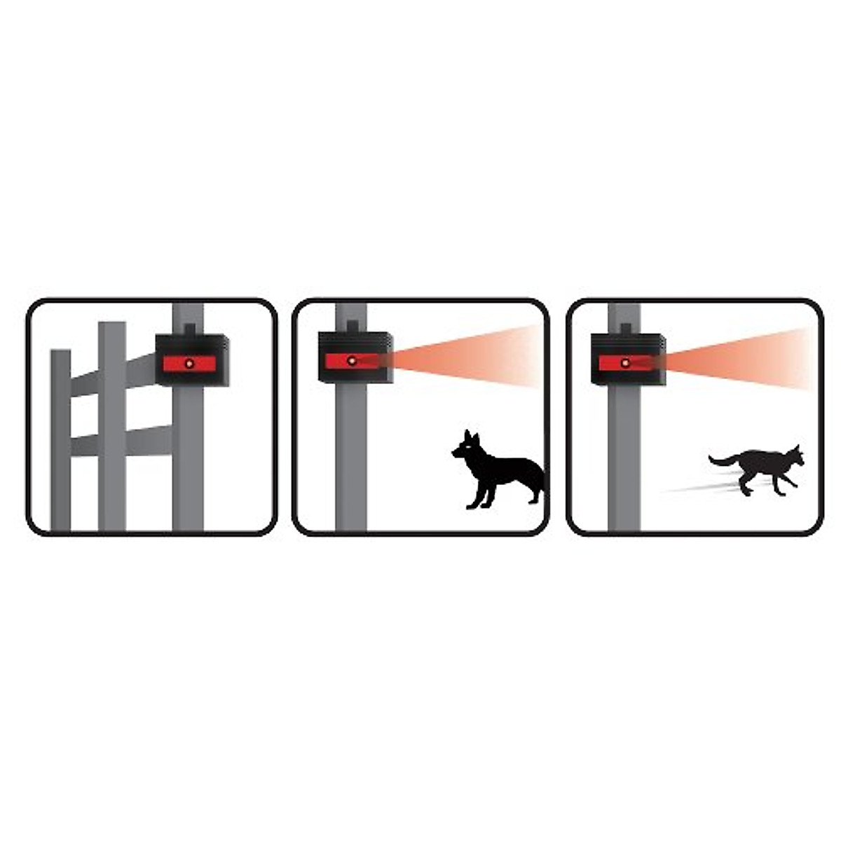 Nite Guard Solar NG-001 Predator Control Light,Single Pack, Black