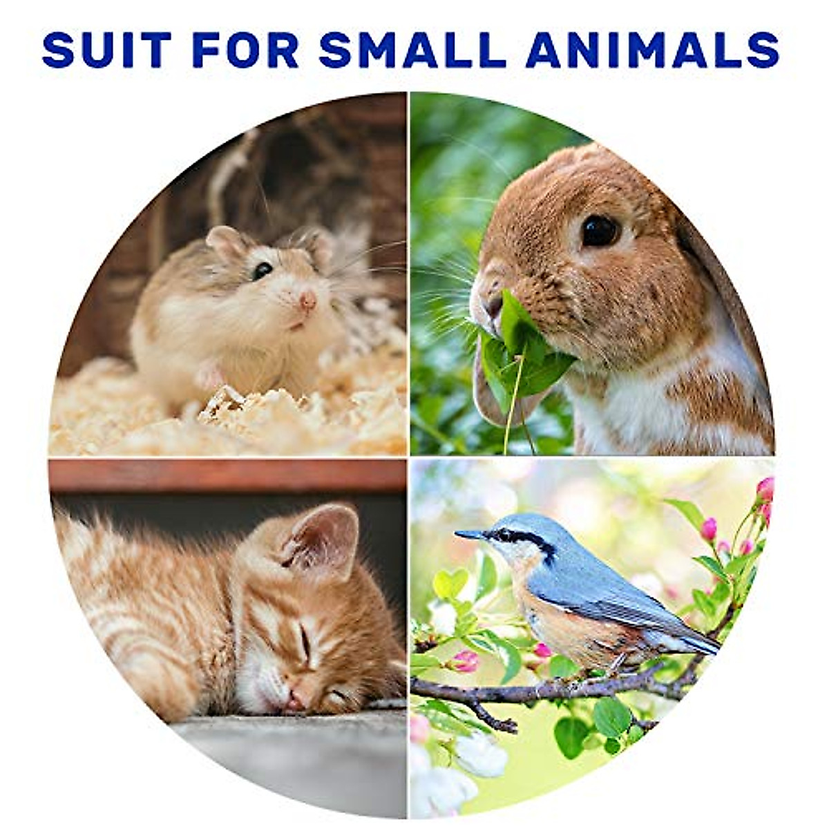 WACLTE Bird Bowl & Chewing Toy Set - 2 Pack 3.9" Stainless Steel Feeder Cups with Clamp for Cage - Funny Ladder Hanging Toy with Bell - for Parrot, Parakeet, Budgies, Conure Ferrets, Small Animal