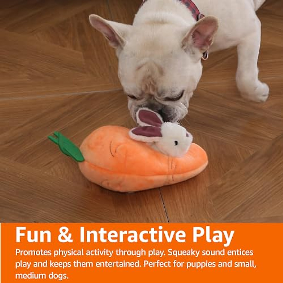 Amazon Basics Hide and Seek Squeaky Dog Plush Toy, Rabbit and Carrot, Orange and white, 5 Pack