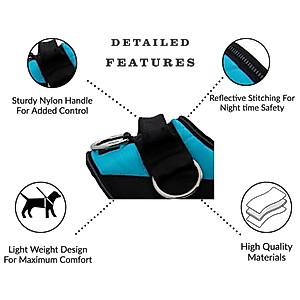 ShawnCo Essential Dog Harness, No-Pull Pet Vest with 3 Leash Clips, No Choke, Reflective, Adjustable and Padded, for Easy Walking and Training for Small, Medium and Large Dogs (Stars and Stripes, L)