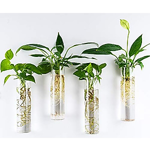 Kingbuy Wall Hanging Planter Glass Plant Propagation Station for Home Decor, Large Cylinder, 2 Pack