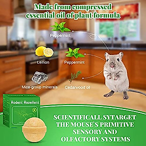 Natural Rodent Repellent, 12 Pack Mouse Repellent to Repel Mice and Rats, Mole Repeller for Car Campers Home Kitchen Garden Outdoors Indoor Garage, Pet Safe
