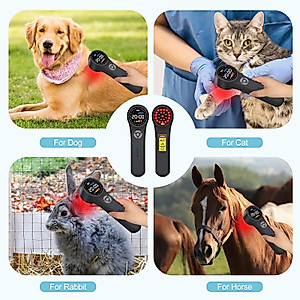 GOVW Cold Laser Therapy for Dogs, 4x980nm+4x810nm+16x660nm, Cold Laser for Horses, Veterinary Laser Therapy Machine, Pet Laser Therapy, Cold Laser Therapy Pain Relief Device for Animals Like Cats