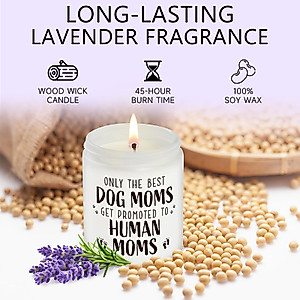 Best Expecting Mom Gifts,New Mom Gifts for Pregnant Women,Funny Dog Mom Pregnancy Gift for New Mom,First Time Mom Gifts,Mothers Day Gifts for New Mom,Mom to Be Gifts with Lavender Scented Candle