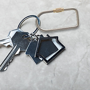 BAMI-LEE House 2 Pcs Titanium Locking Carabiner Titanium Alloy U-shaped Key Chains Rings Buckles for Indoor Outdoor Use