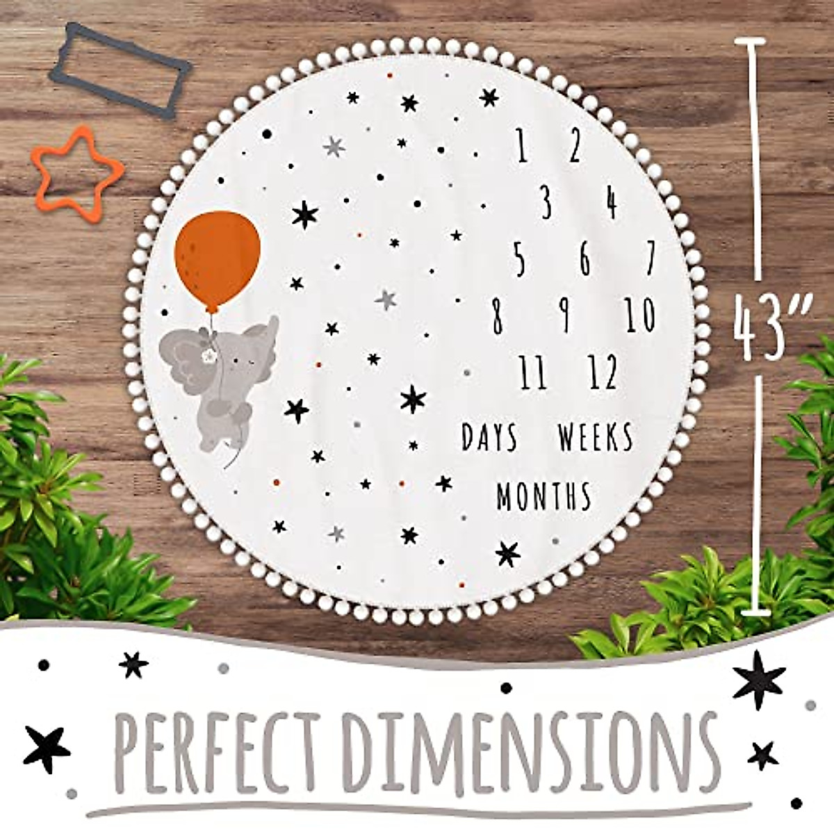 Milestone Blanket with Two Markers, Gender Neutral Baby Milestone, Baby Monthly Milestone, Baby Milestone Blanket, Baby Monthly Milestone Blanket, Baby Growth Chart Blanket (60"x40")