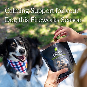 Get Joy Calm+ Stress Support Dog Supplement Chews, 90 Soft Chews, Chicken Flavor, Supports Sleep & Relaxation, with Chamomile & Valerian Root, PhD Animal Nutritionist Formulated, Produced in USA