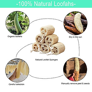 FRTIM Natural Loofah Sponge Shower Organic Luffa Bath Loofa Exfoliating Body Scrubber Loofah for Men Women Adults Back Face Body Skin SPA Care - 6 Pieces