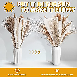 Natural Dried Pampas Grass Decor: 80 Pcs 17" Small Fluffy White Pampas Stems & Beige Reed Grass & Dry Wheat Bundle & Bunny Tail Grass Pampas Bouquet