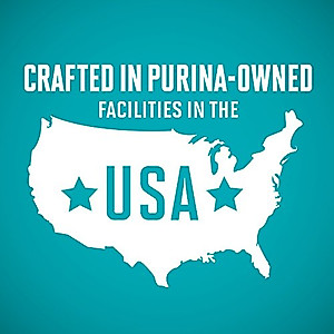 Purina ONE High Protein, Natural Dry Kitten Food, +Plus Healthy Kitten Formula - 7 lb. Bag